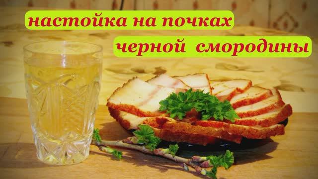 🍶Настойка на Почках Черной Смородины🍇