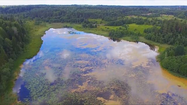 Утренняя гармония: Расслабляющая музыка для позитивного и мирного начала дня 🌞🎶