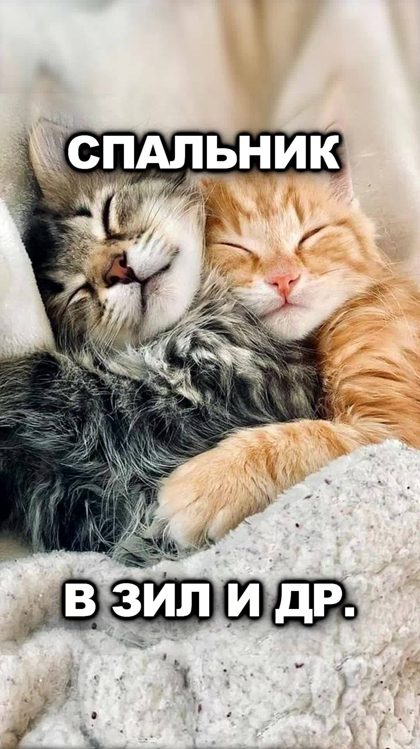 Диван-трансформер в ЗиЛ и другие "ништяки" апгрейда