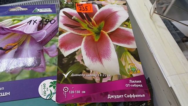 1994.  Лилии, когда покупать ?(13.03.25 г )