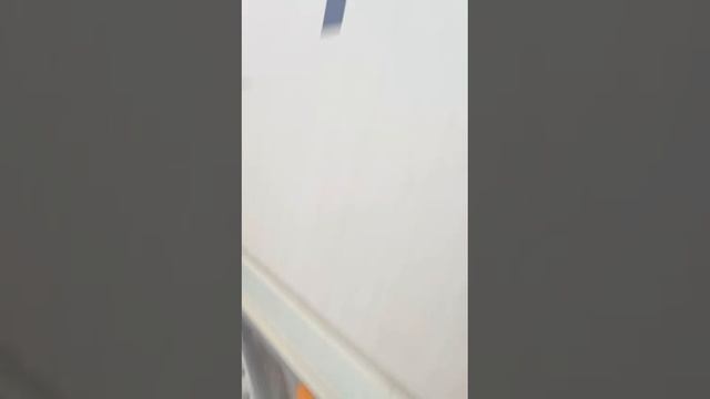 Schmitz Cargobull WSM00000005304115