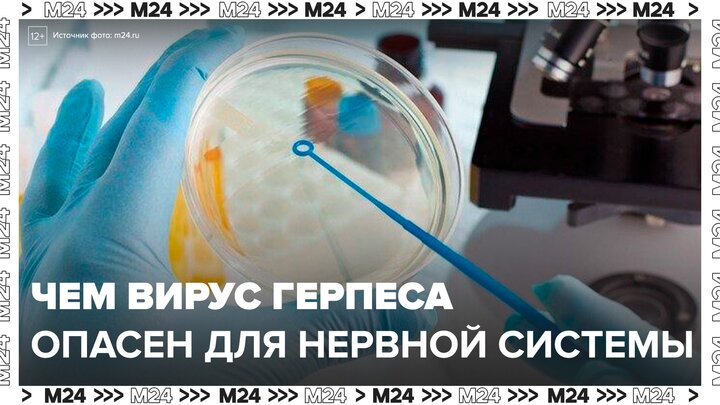 Врачи предупредили об опасности вируса герпеса для нервной системы - Москва 24