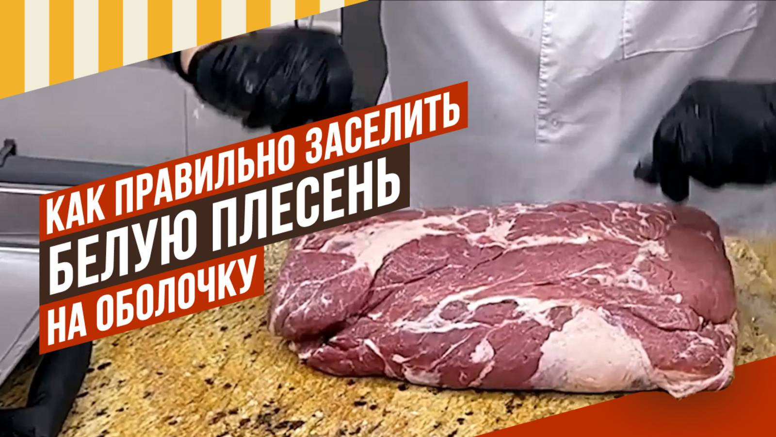 Как правильно заселить и создать условия для роста Белой плесени. Анонс эфира про сырокопчение.