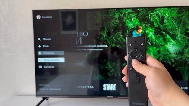 Телевизор Спальня