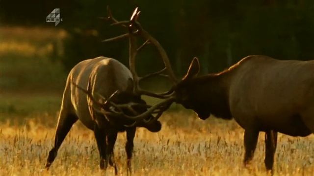 Секс, смерть и смысл жизни 1 серия «Грех» (документальный сериал, 2012)