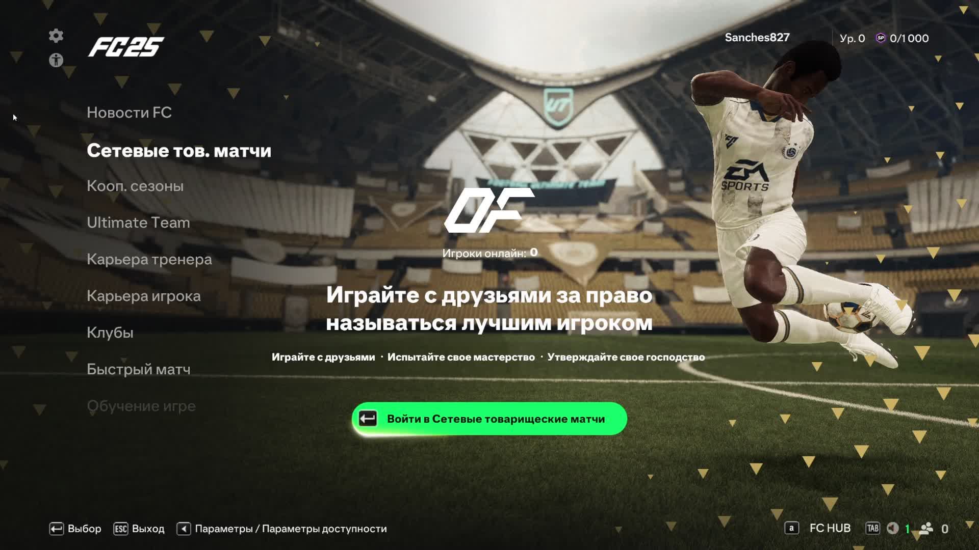 Чил стрим по фифе)