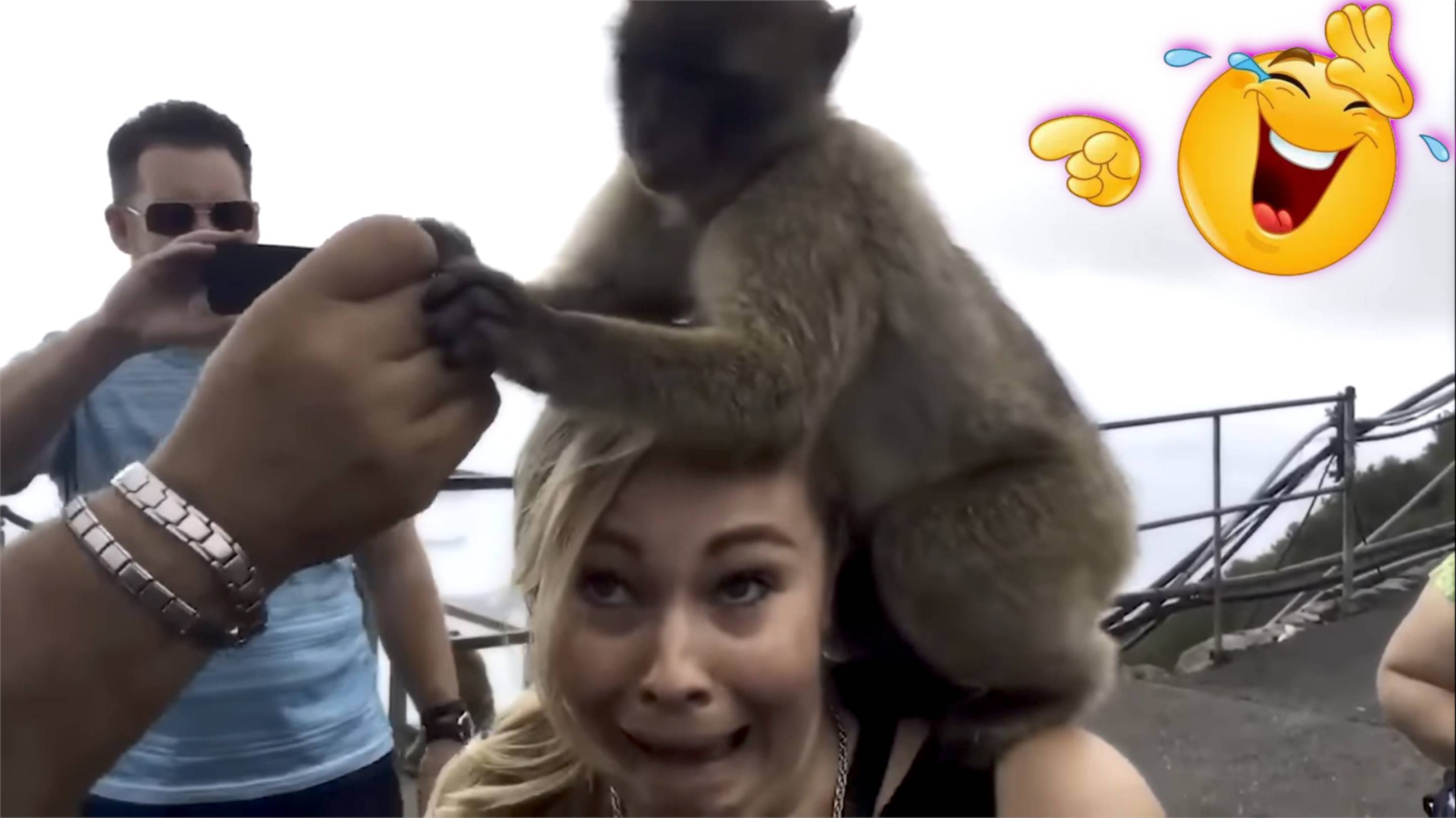 СМЕШНО НА МАКСИМУМ: ПРИКОЛЬНЫЕ МОМЕНТЫ В ВИДЕО