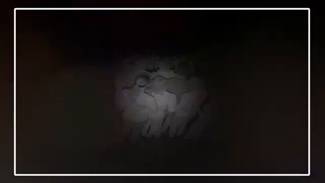 Тренинги в темноте // Инновационный подход!