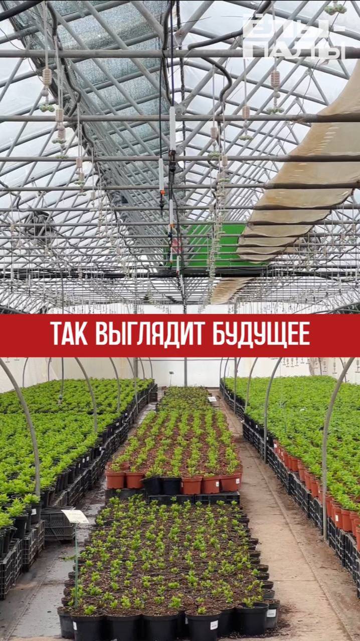 Так выглядит будущее!