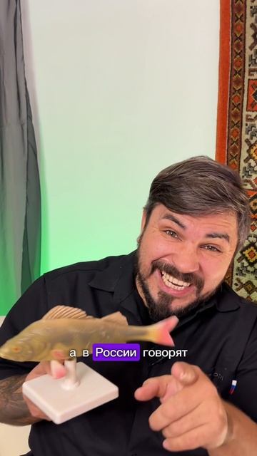 лучшие цитаты