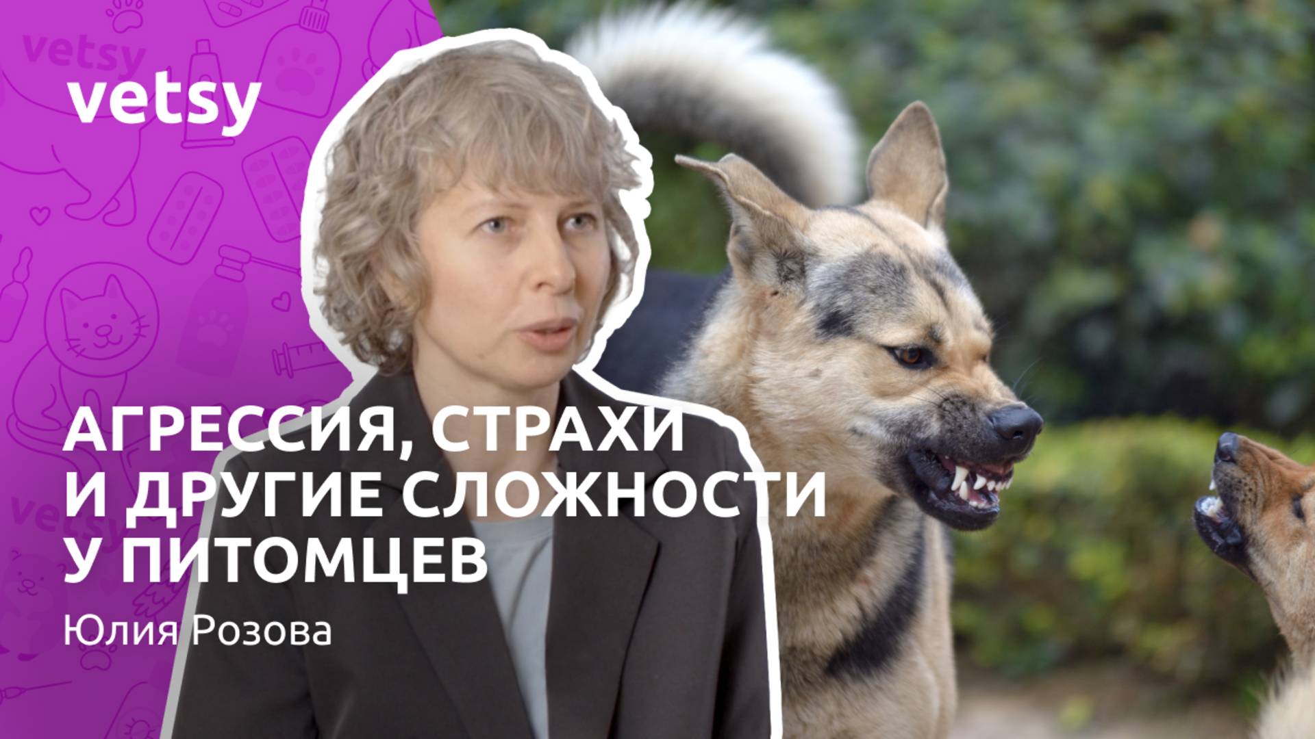 Юлия Розова: зоопсихолог в деле — решаем агрессию, страхи и другие сложности у питомцев