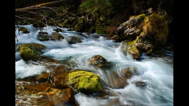 Очень красивая музыка со звуками природы (журчание ручья)
