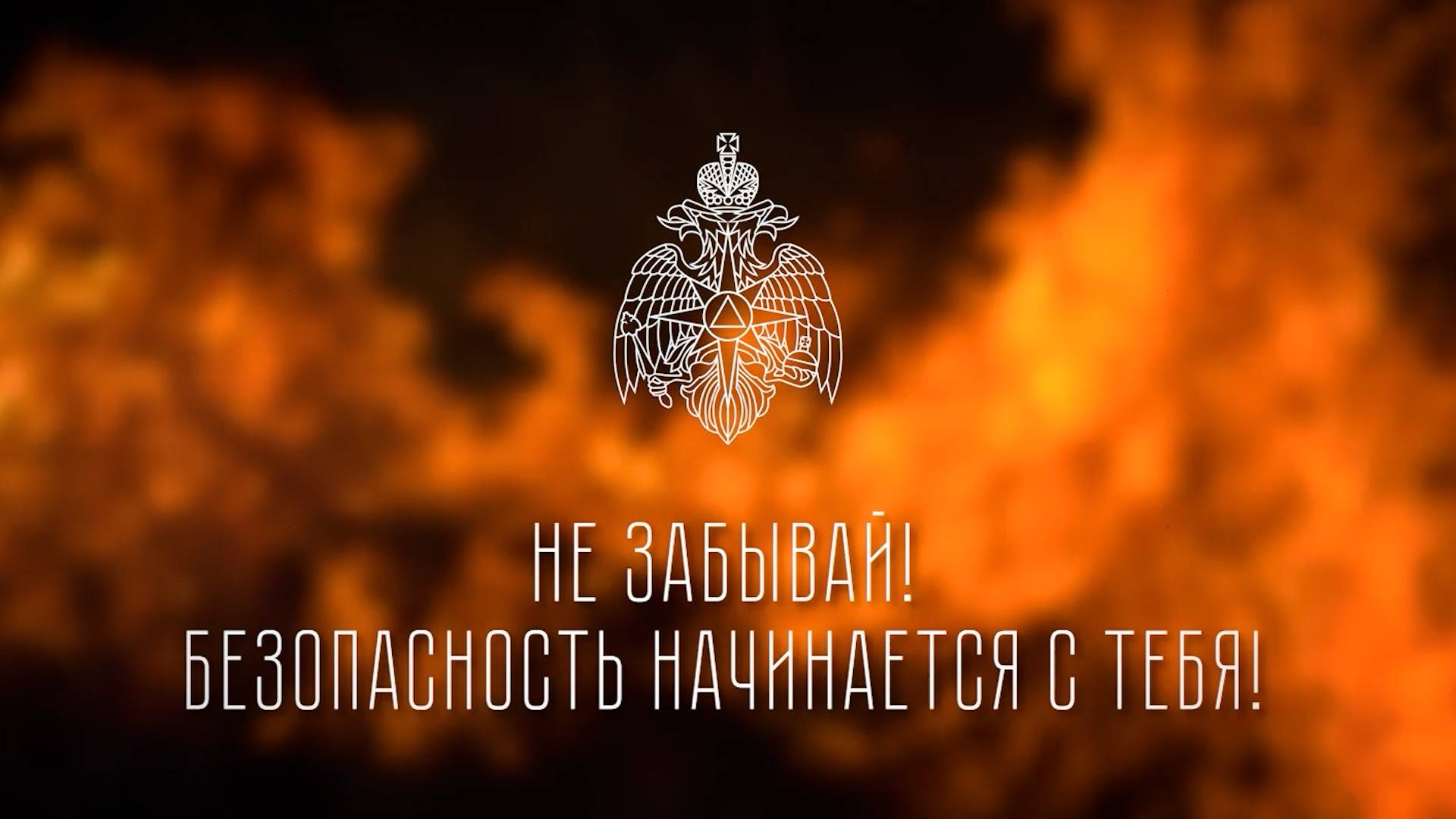 Весеннее пламя: угроза сухостоя