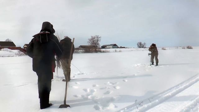 Бәкеләр ясала