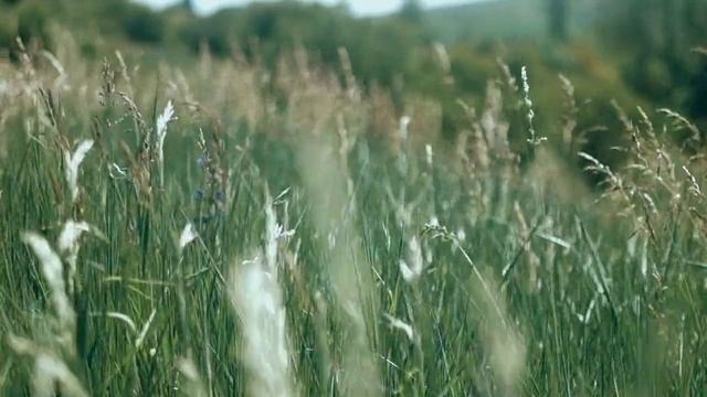 Вот май уже почти проходит...