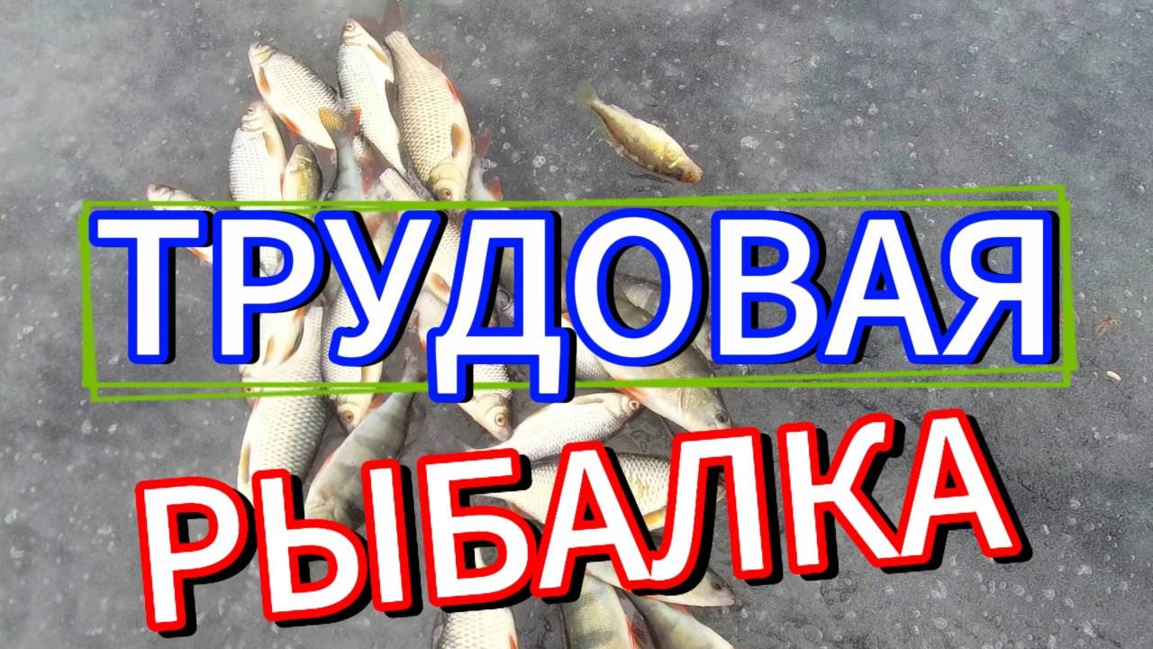 ТРУДОВАЯ РЫБА | ВСЯ РЫБАЛКА ПОИСК И ПЕРЕМЕЩЕНИЕ