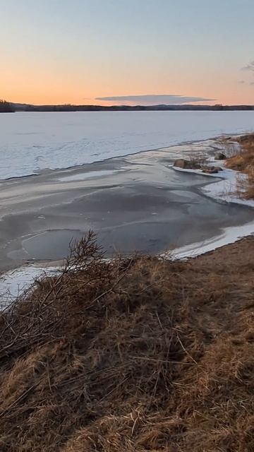Перелетные птицы прилетели. Озеро еще замерзшее. 13 марта
