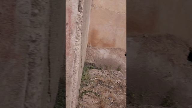 🏰 Замок в Орчхе 🇮🇳 Исследуем запрещённые подземелья! Чуть не заблудились! 😱