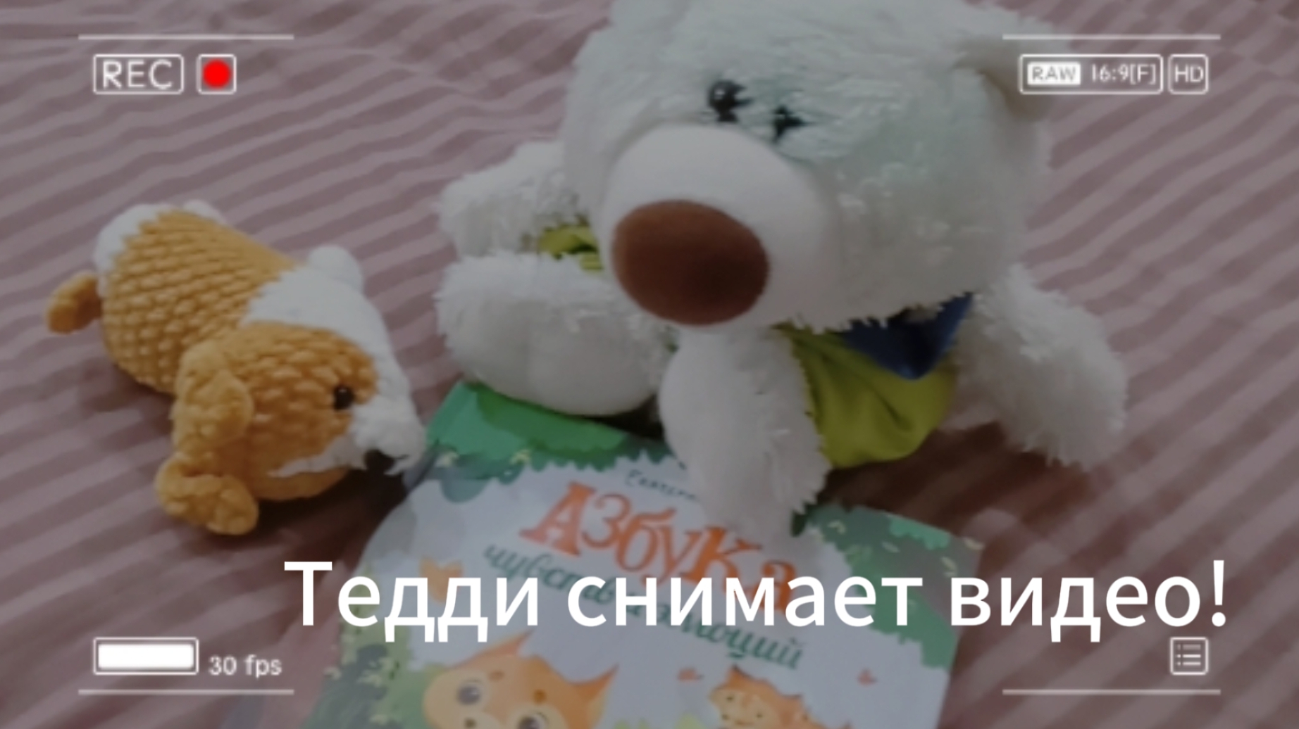 Тедди один снимает видео???