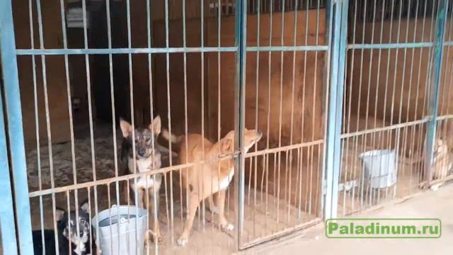 С коллегами провели благотворительную акцию