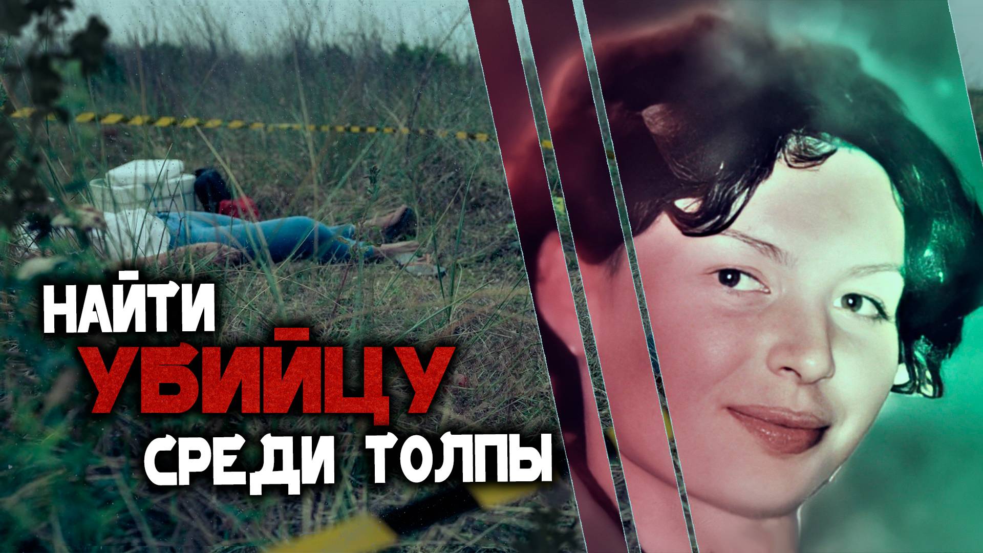 40 тысяч подозреваемых. Один из них — убийца. Детективная история Матильды Крогеннек