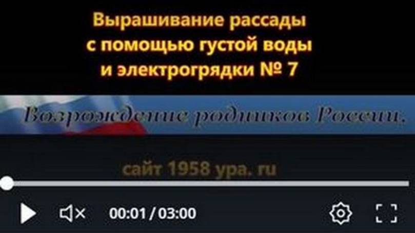 Выращивание рассады с помощью густой воды и электрогрядки № 7