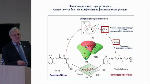 Лекция Островского