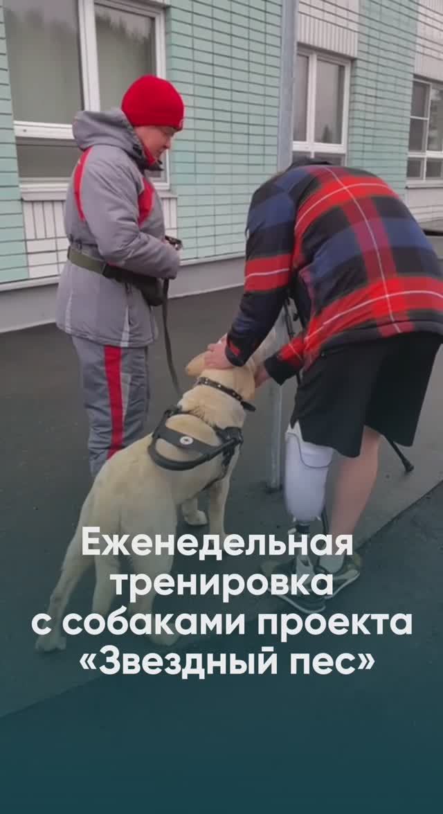 Еженедельной встречи в рамках проекта «Звездный пес в помощь людям»