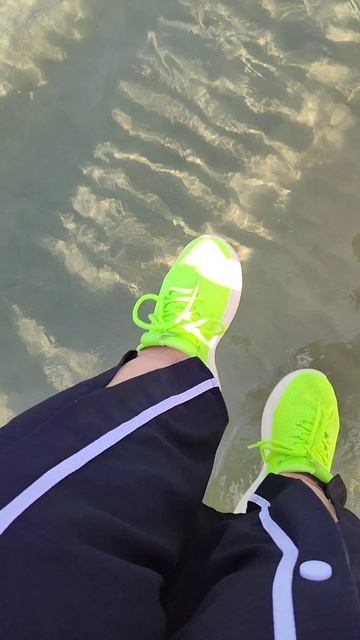 #искраелены