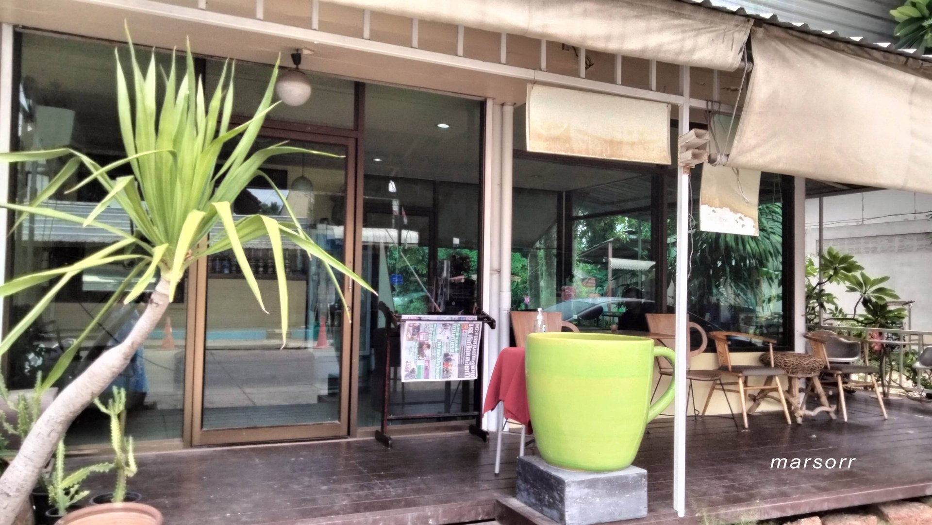 просто кафешки канчанабури. утро, чашка и мяуки. กาญจนบุรี kanchanaburi