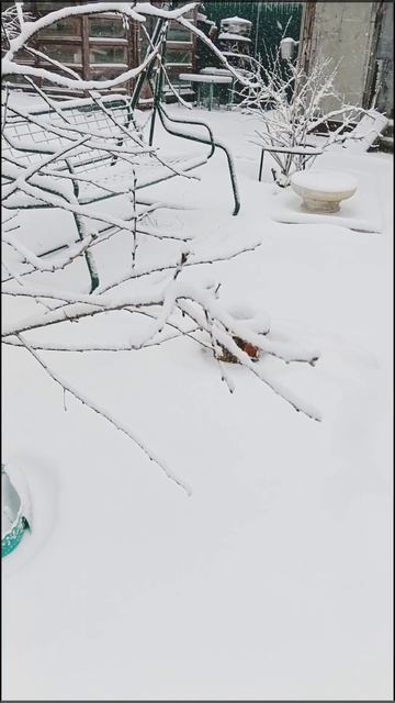 Вот такой март ❄️❄️❄️