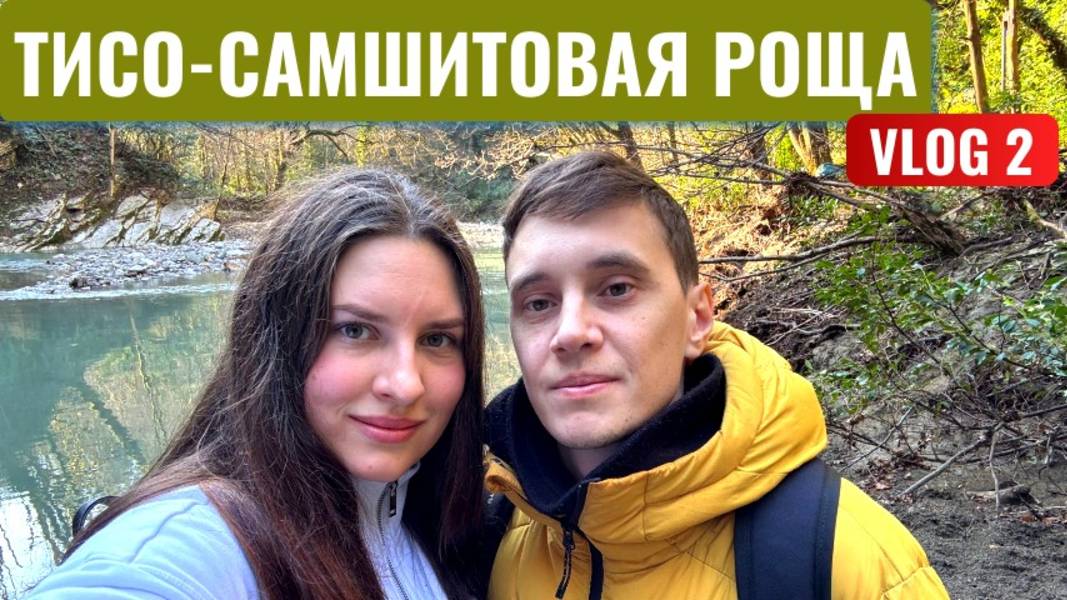 ОЛИМПИЙСКИЙ ПАРК И ТИСО-САМШИТОВАЯ РОЩА | НОВОГОДНИЙ СОЧИ | VLOG 2