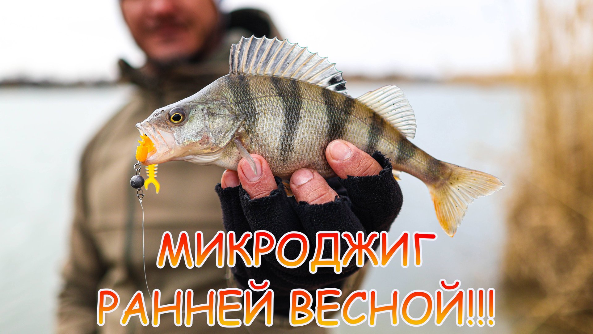 МИКРОДЖИГ ранней весной 👍 Окунь жрёт пассивку 💪💪💪