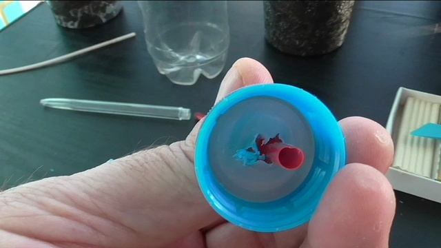 Самодельная мини-лейка для полива рассады