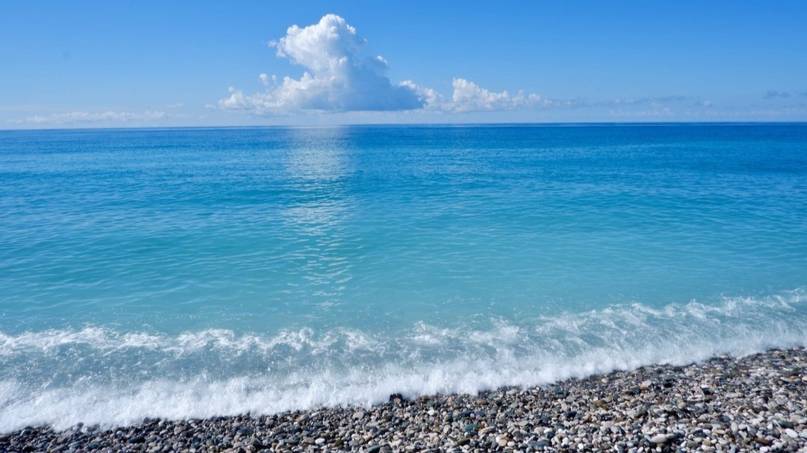 На море с друзьями