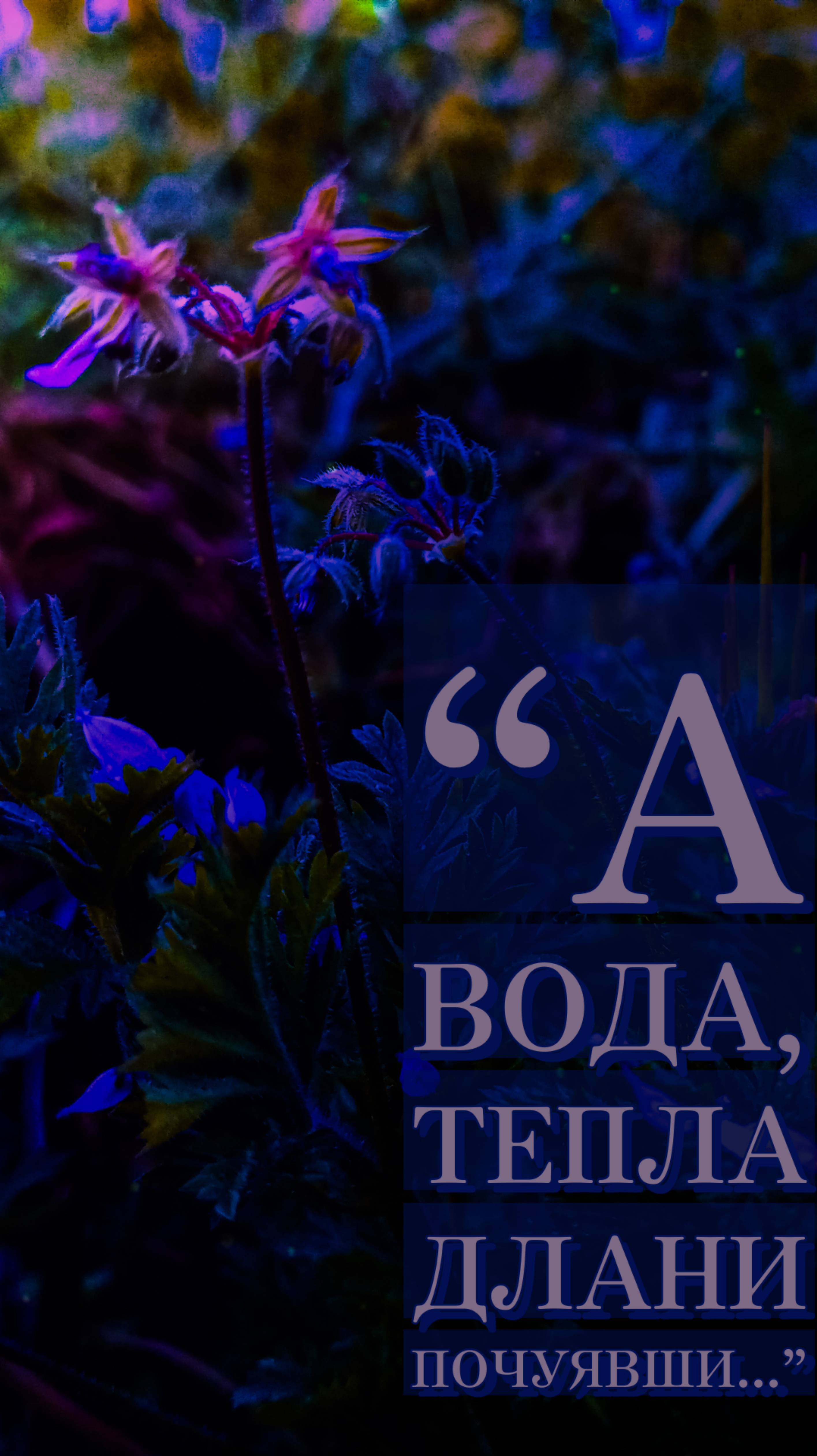 А вода... почуяла💦 #shorts #стихи