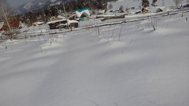 Главная ошибка садоводов Сибиряков.