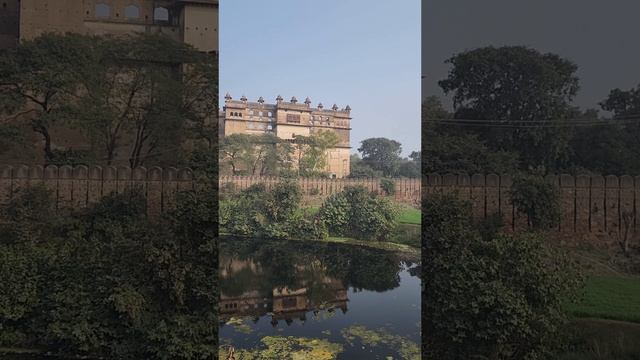 🛍️ Рынок Орчхи 🇮🇳 Индийский колорит, уличная торговля и коровы за прилавками! 🐄