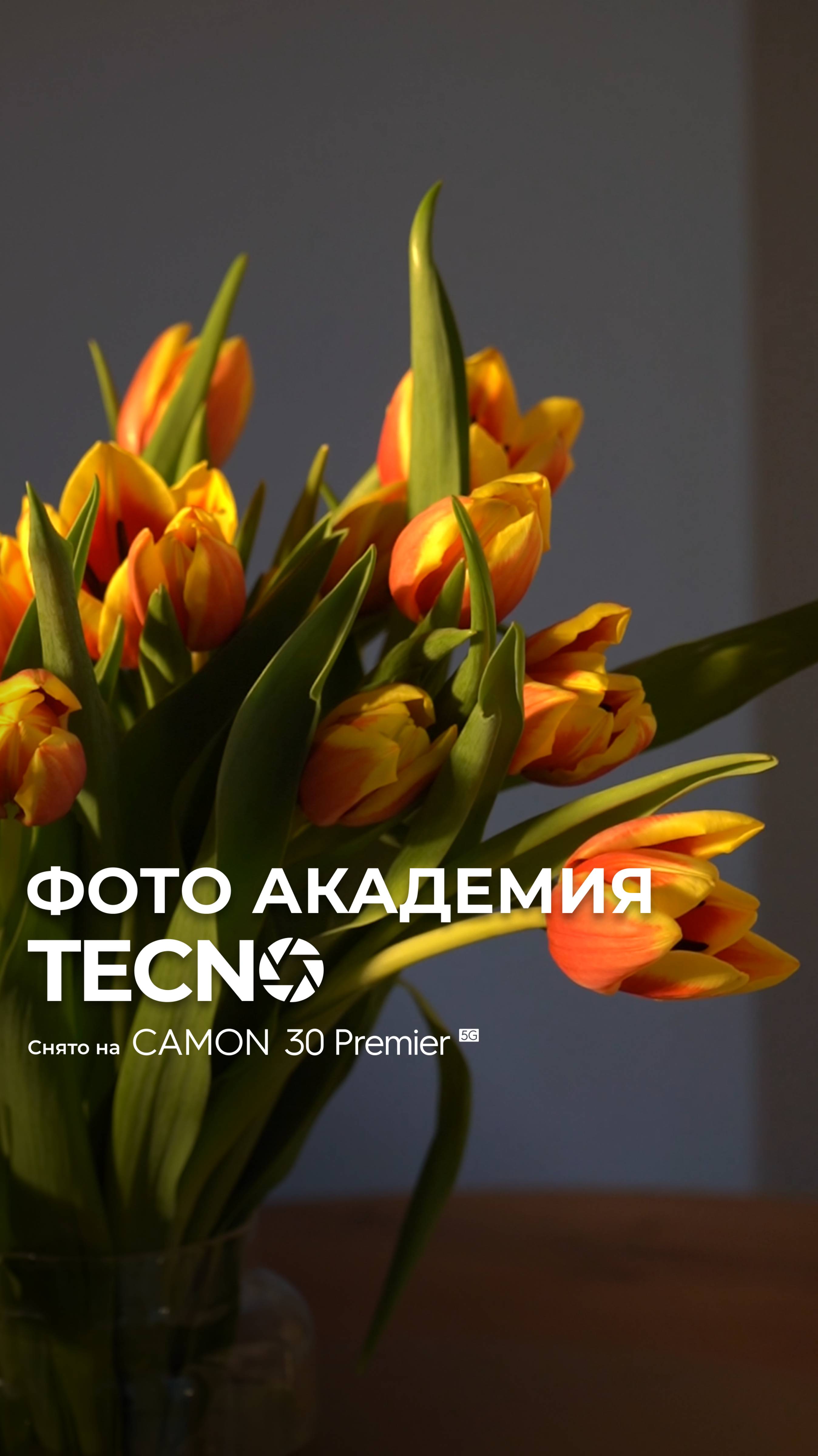 Как красиво снять распускающиеся цветы? #TECNO #ФотоАкадемияTECNO