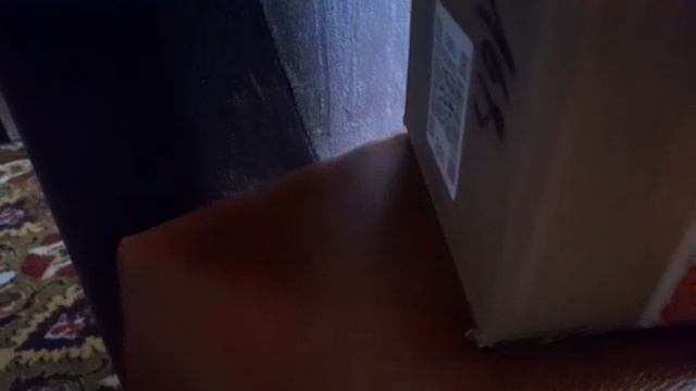 игрушки в RYTP №16 кот д***мо сезон 2