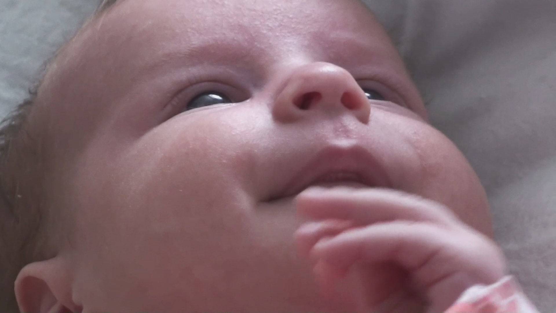 Проснулся...