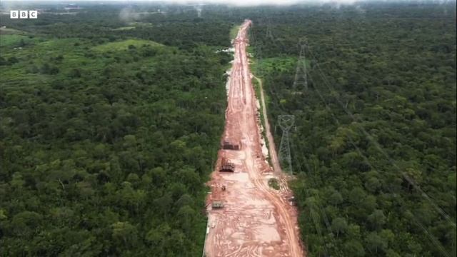 Леса Амазонки вырубили для строительства дороги к месту проведения климатического саммита COP30