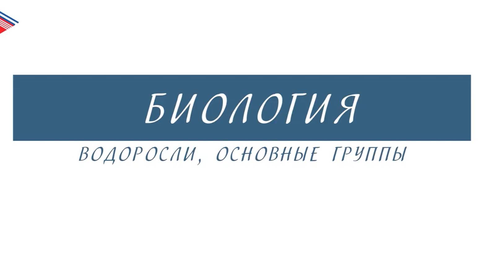 6 класс - Биология - Водоросли, основные группы