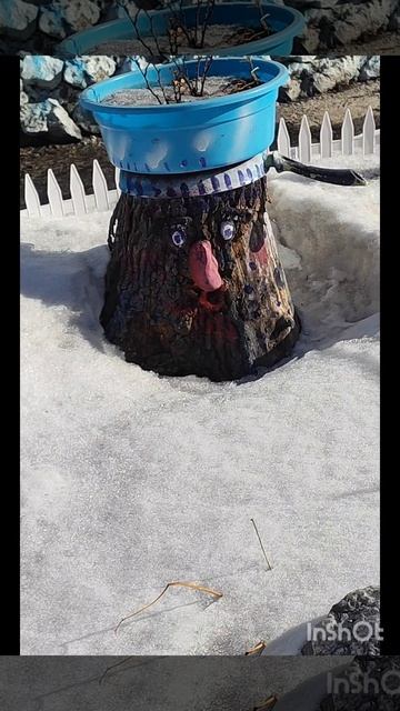 Три друга прозимовали вместе👍❤😊