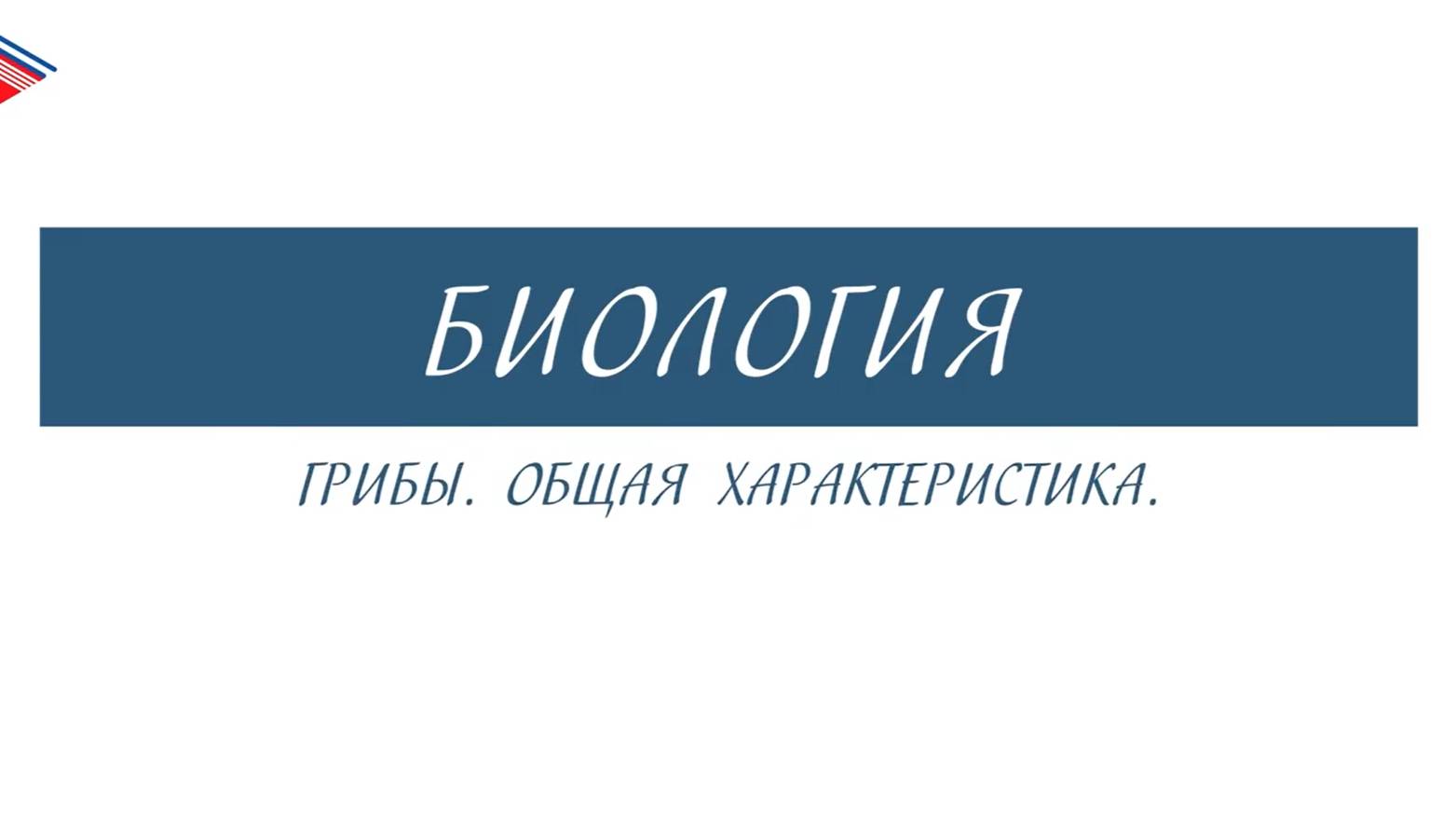 6 класс - Биология - Грибы. Общая характеристика