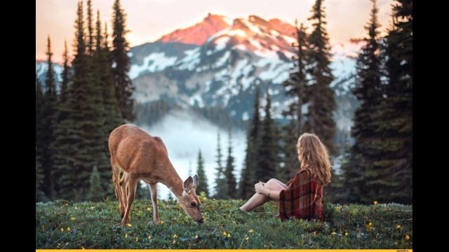 Гармония с природой