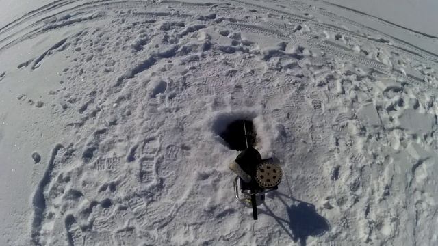 Новый сериал. Зимняя рыбалка на омуля 10.03.2025. Фильм 4. Клёвая рыбалка. Продолжение следует...