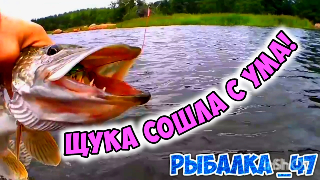 Рыбалка, ловим сумасшедшую щуку.