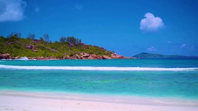 Спокойные пейзажи природы: 90 минут успокаивающей музыки с океанскими волнами и цветами 🌊🌸