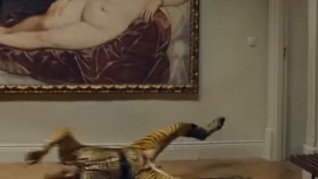 Кожа, в которой я живу